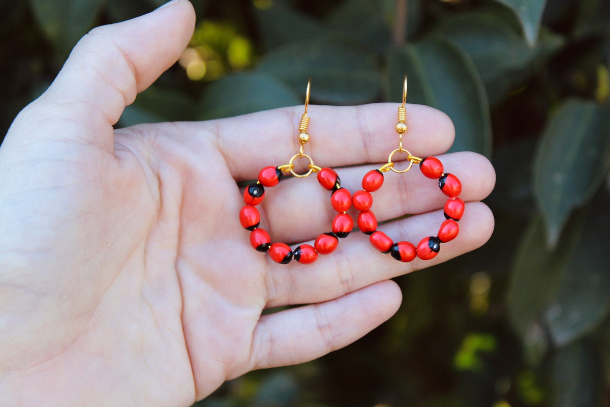 Huayruro Seed Earrings
